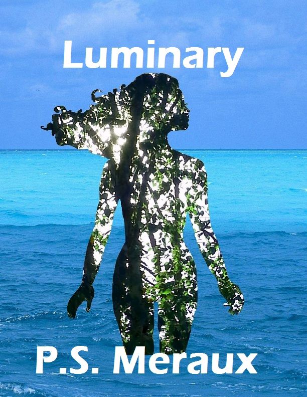 Book Review: Luminary